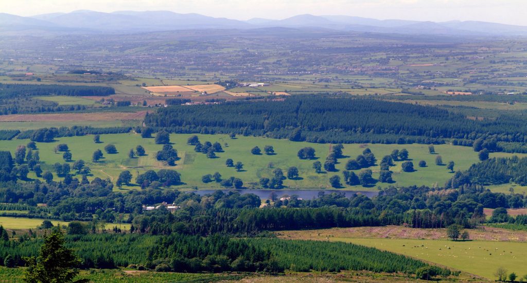 baronscourt-archaeology - Baronscourt Estate