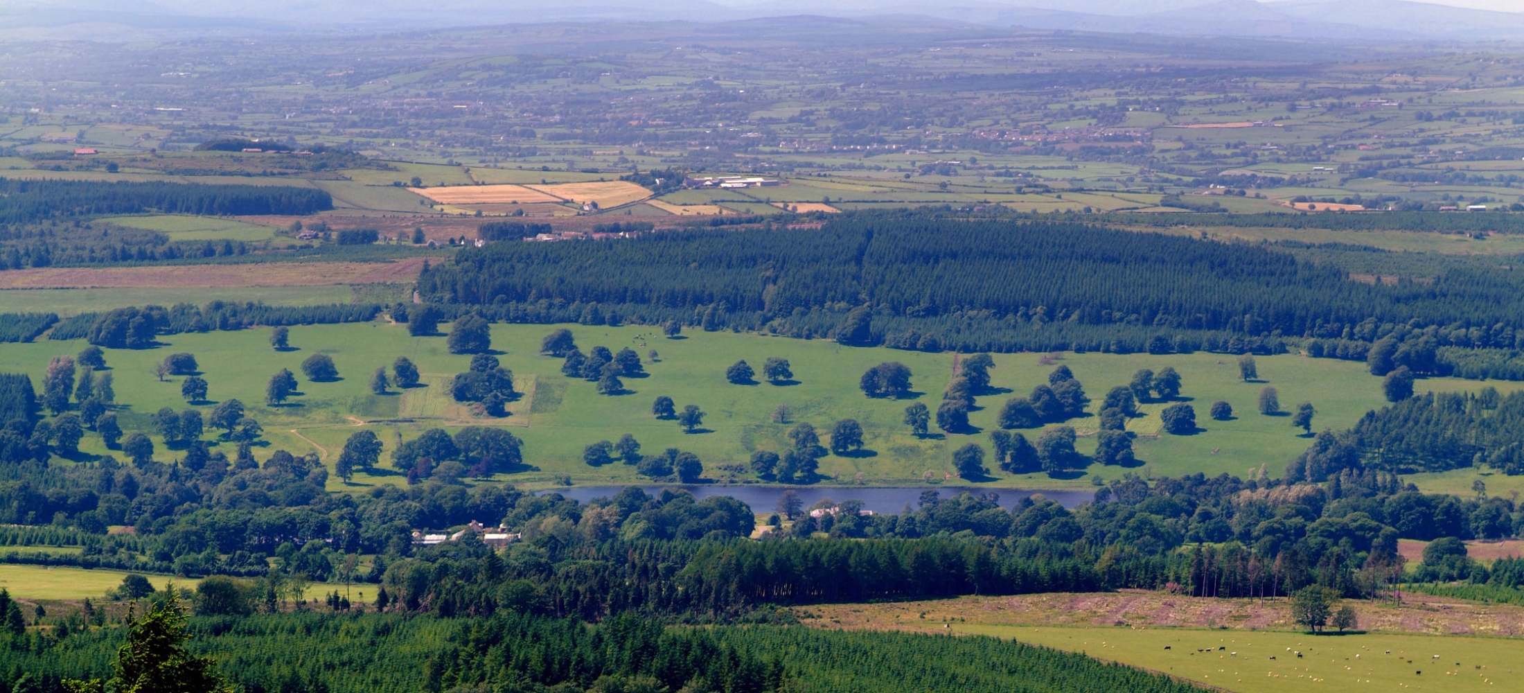 Archaeology in Co Tyrone | Neolithic Tombs Ballyrenan