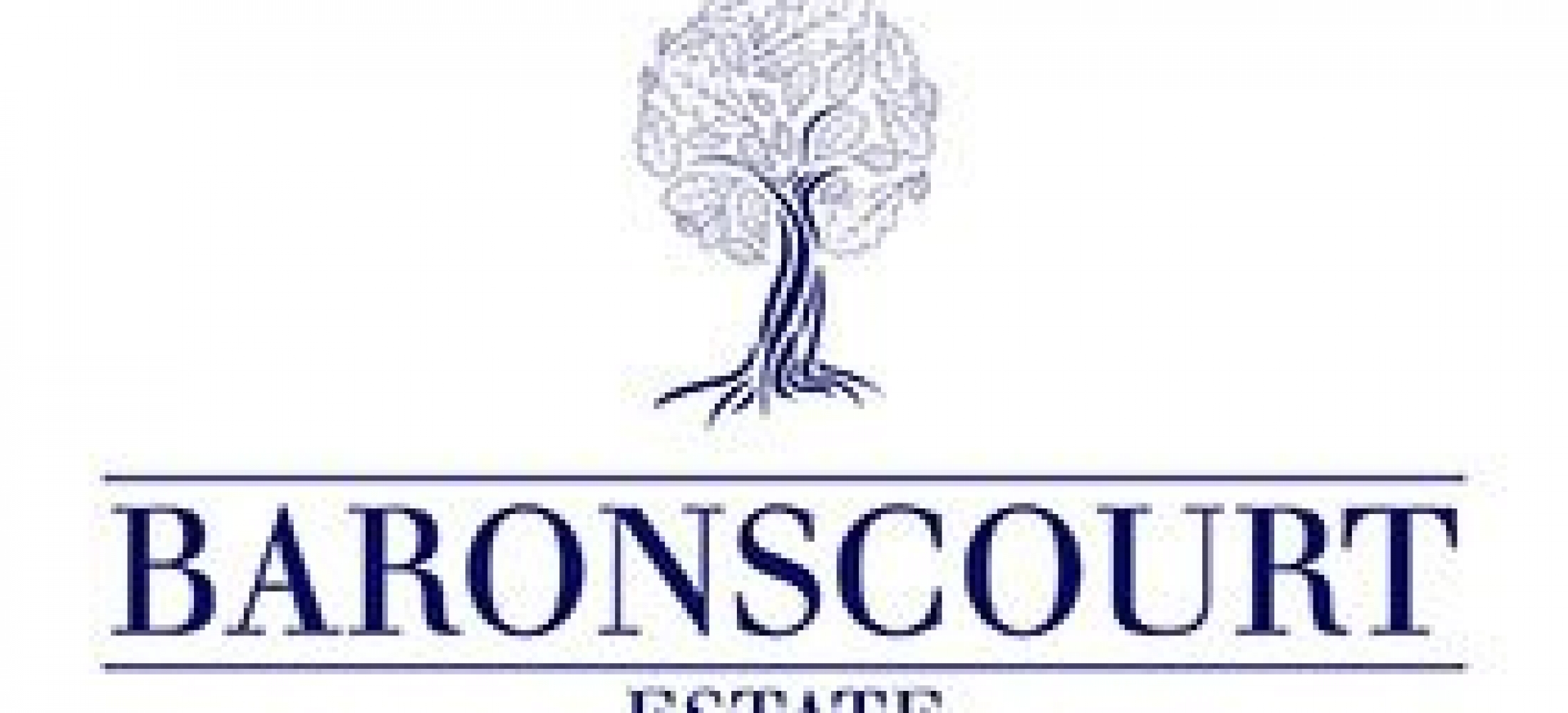 baronscourt-logo - Baronscourt Estate