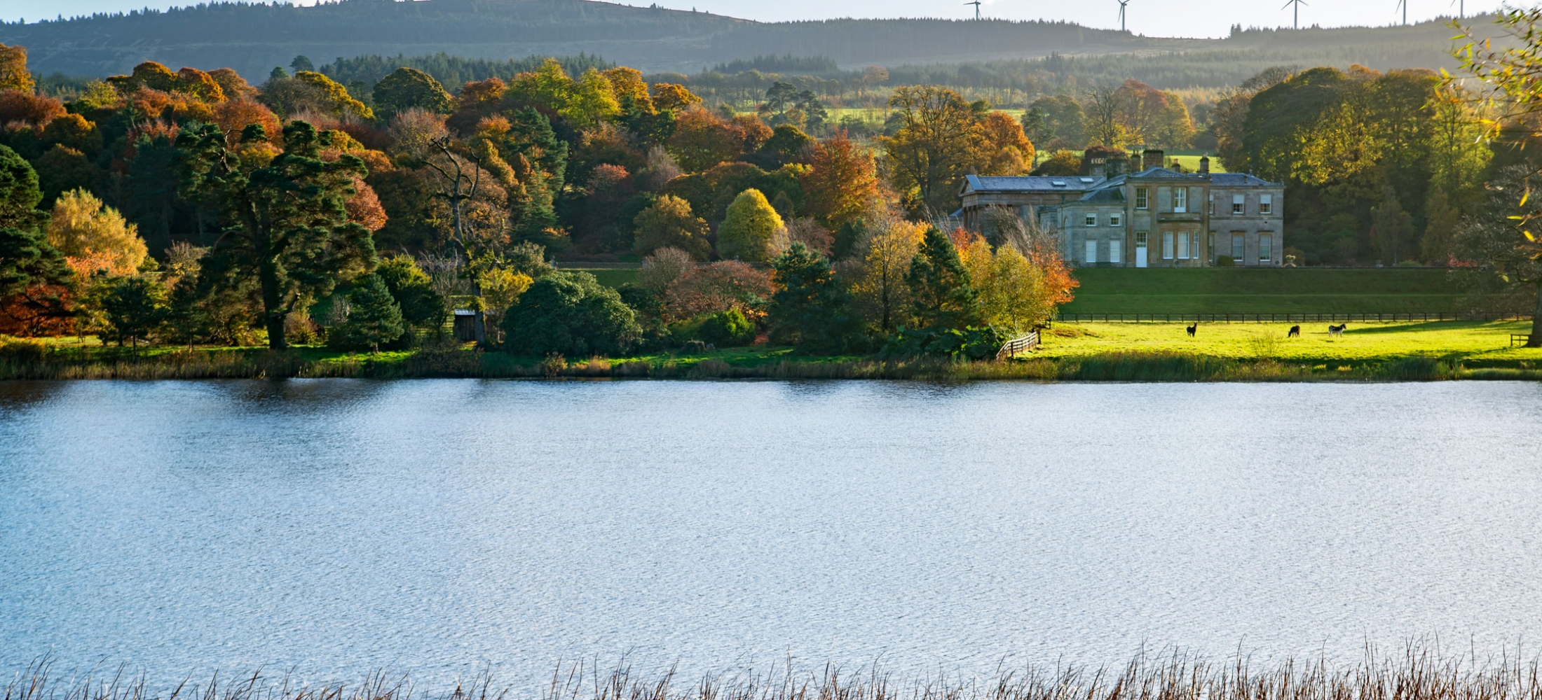 Things to do when staying at Baronscourt Estate activities