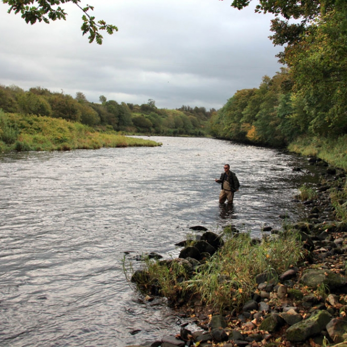 Irish Salmon Fishing River Mourne Foyle
