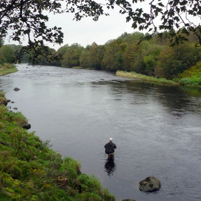 Irish Salmon Fishing River Mourne Foyle