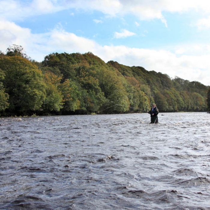 Irish Salmon Fishing River Mourne Foyle