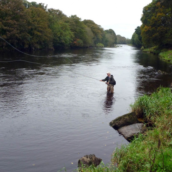 Irish Salmon Fishing River Mourne Foyle