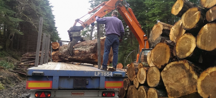 loading-timber-3 - Baronscourt Estate