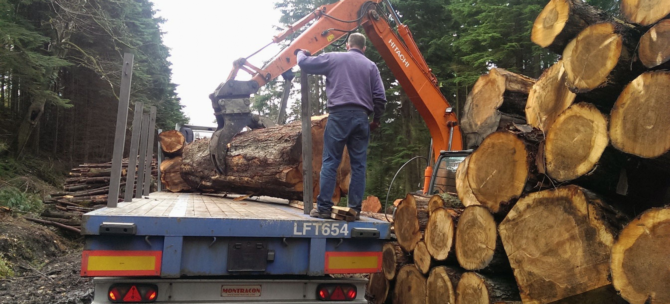 loading-timber-3 - Baronscourt Estate